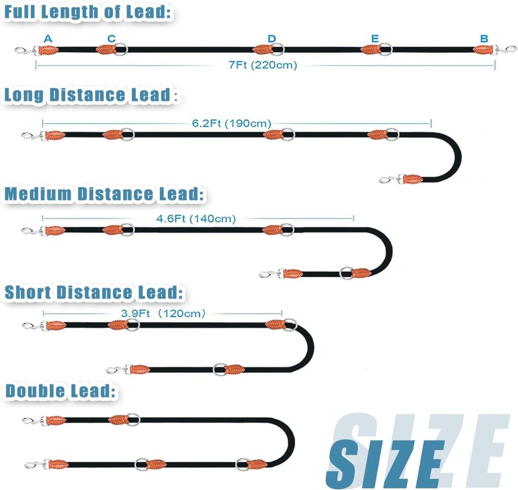 Multi-Function Hands Free Dog Lead Review