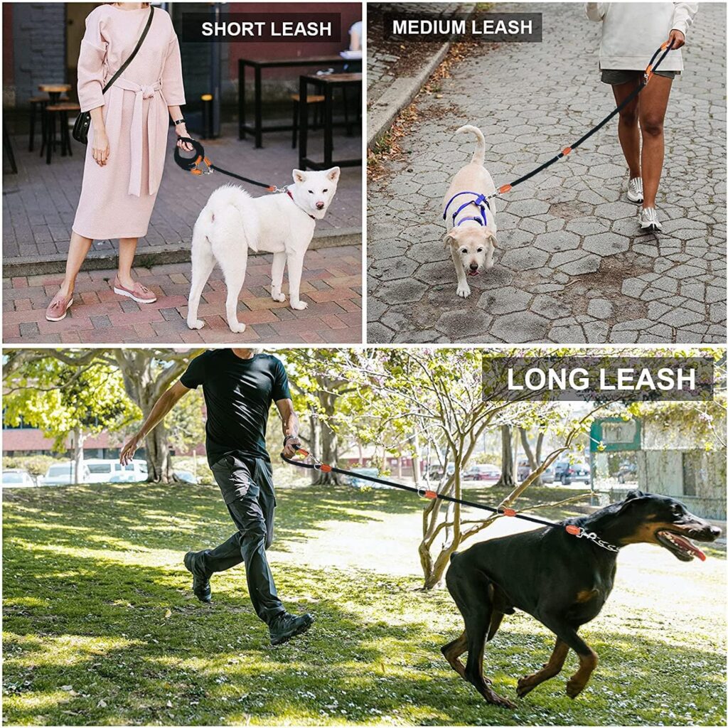 Multi-Function Hands Free Dog Lead Review