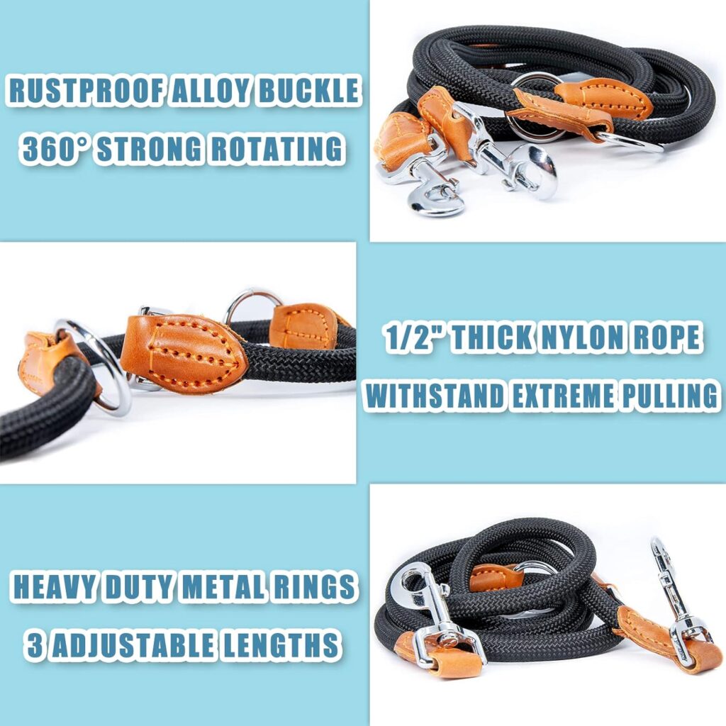 Multi-Function Hands Free Dog Lead Review