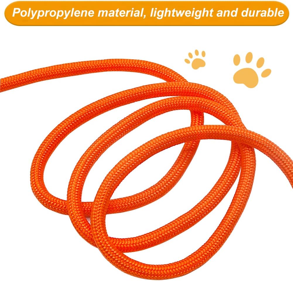 32FT Floating Long Line Dog Lead Review