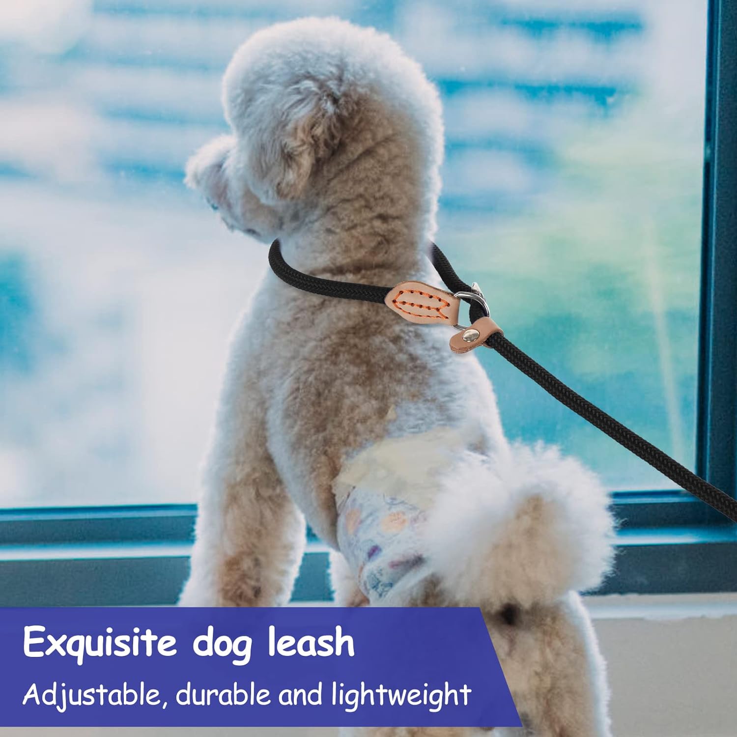 Cobee Small Dog Rope Leash Review