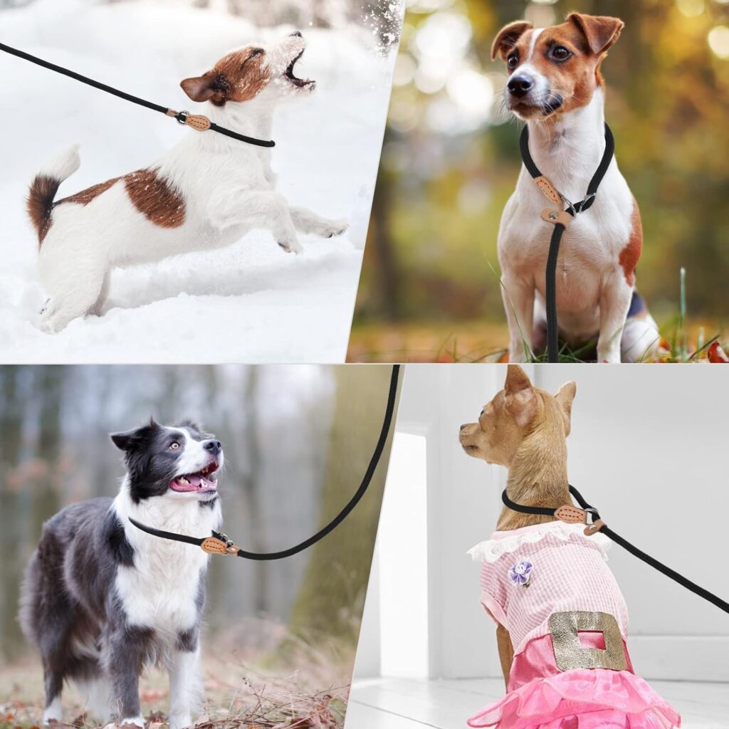 Cobee Small Dog Rope Leash Review