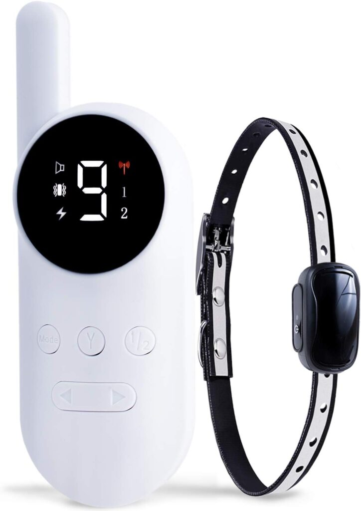 GoodBoy Mini Remote Collar For Dogs Review