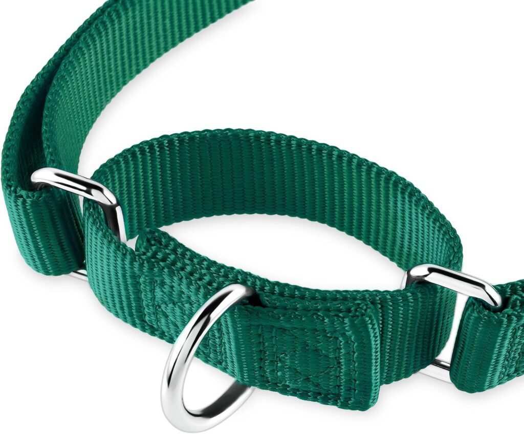 Hyhug Durable Escape-proof Martingale Dog Collar Review