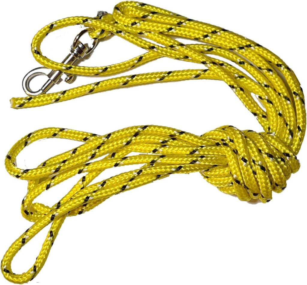 Training Dog Safety Line Thin Training Lead For Small Dogs And Puppies ...
