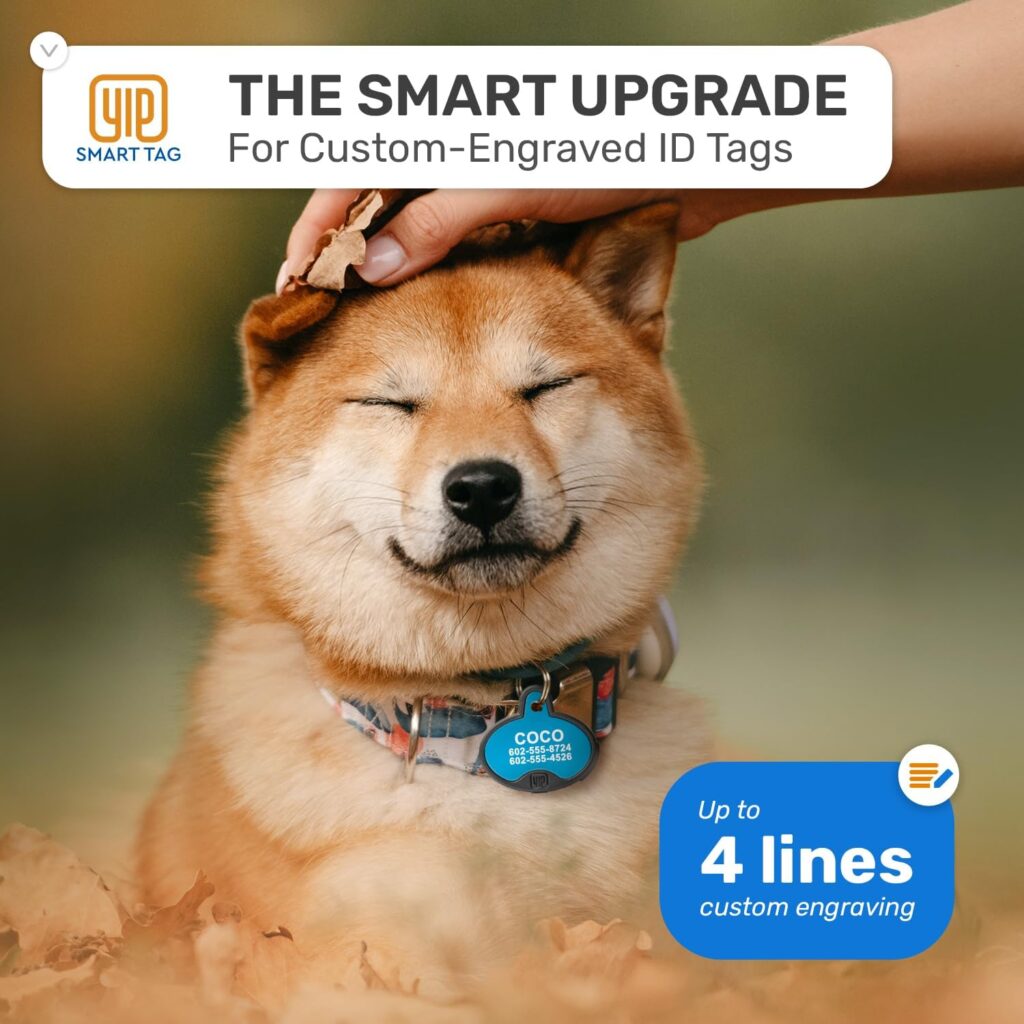 YIP Smart Tag Pet ID Tag And Tracker Review